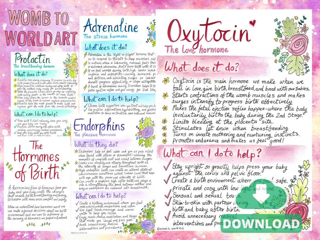 Hormones of Birth Hypnobirthing PDF Handout Labour Printouts Antenatal ...