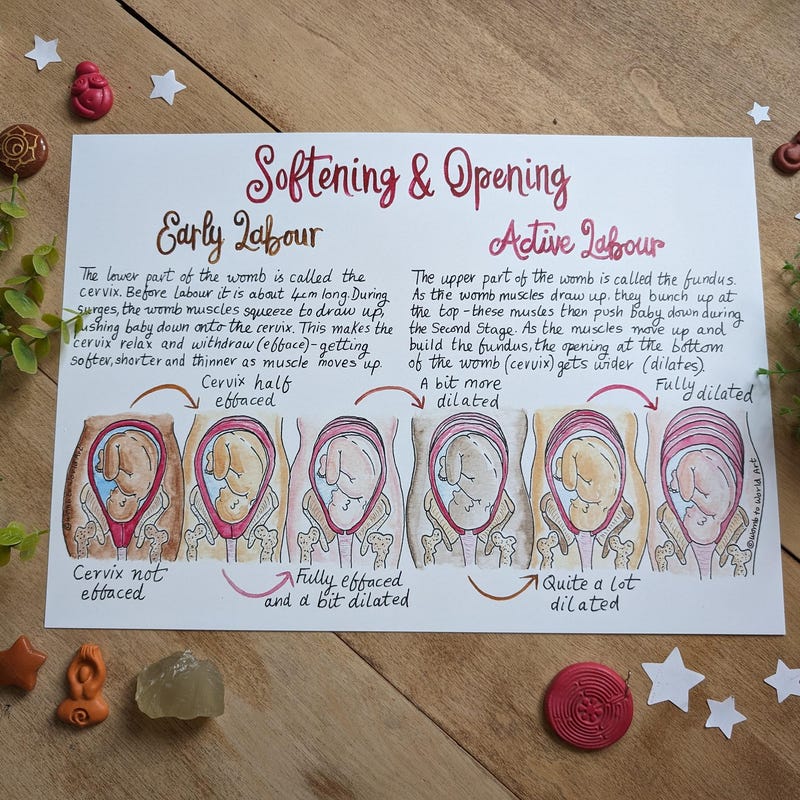 Doula Education Digital - Etsy UK