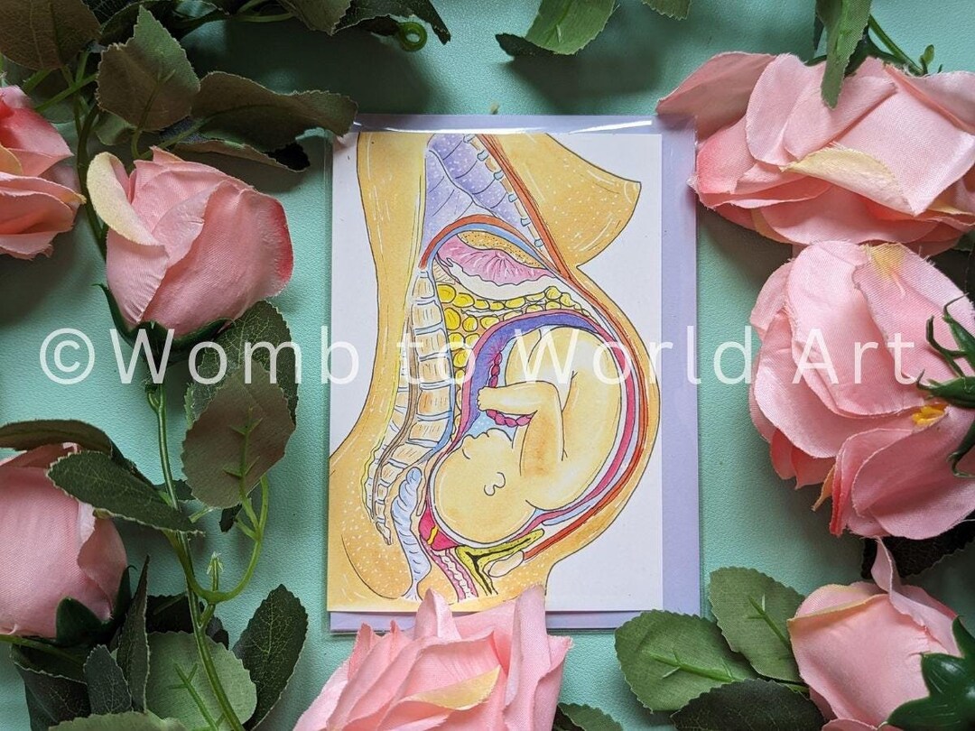 Pregnancy Anatomy Midwife Card | Hypnobirthing Goody Bags | Birth ...