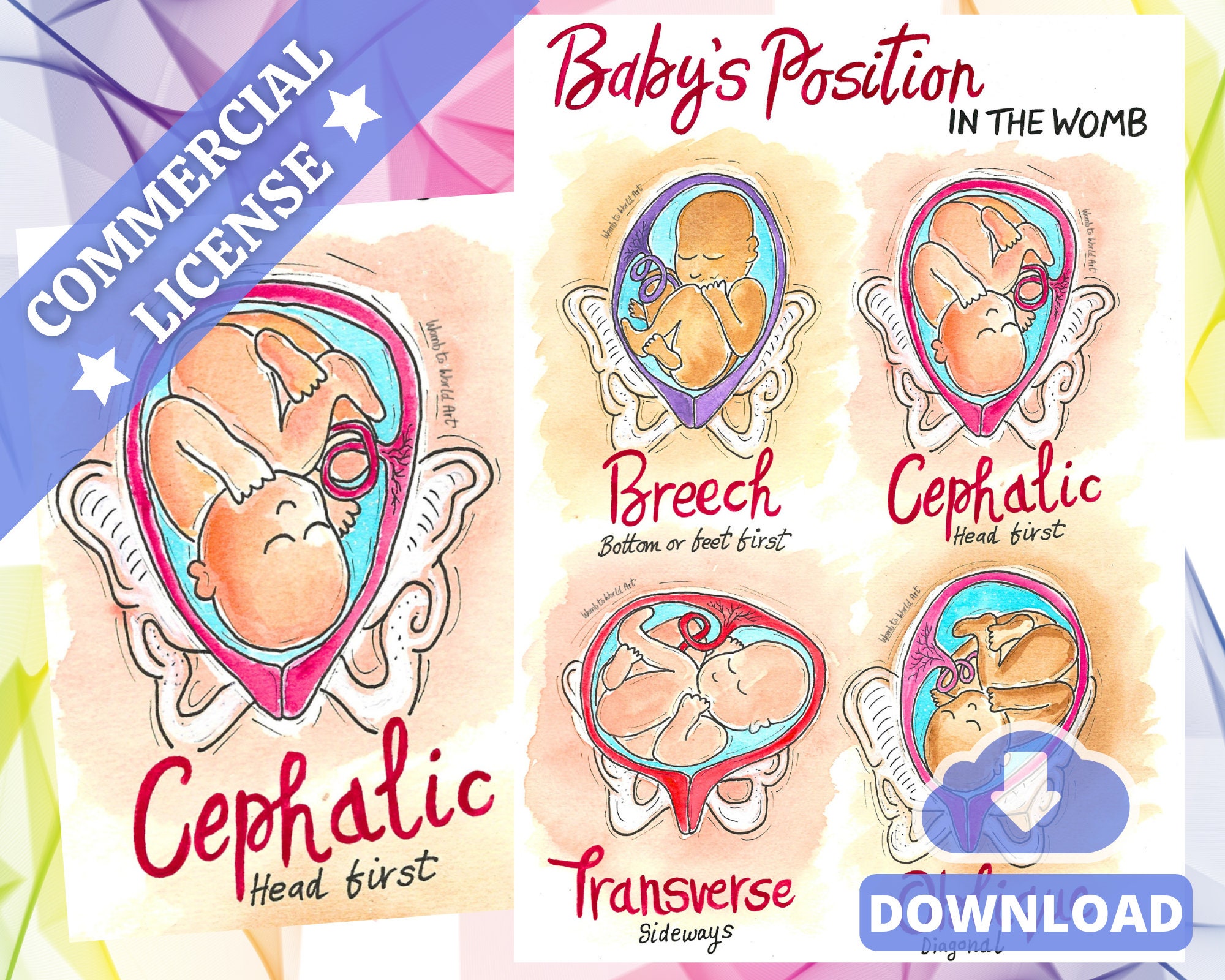 Fetal Baby Womb Positions A3 Printout Download PDF Pregnancy - Etsy