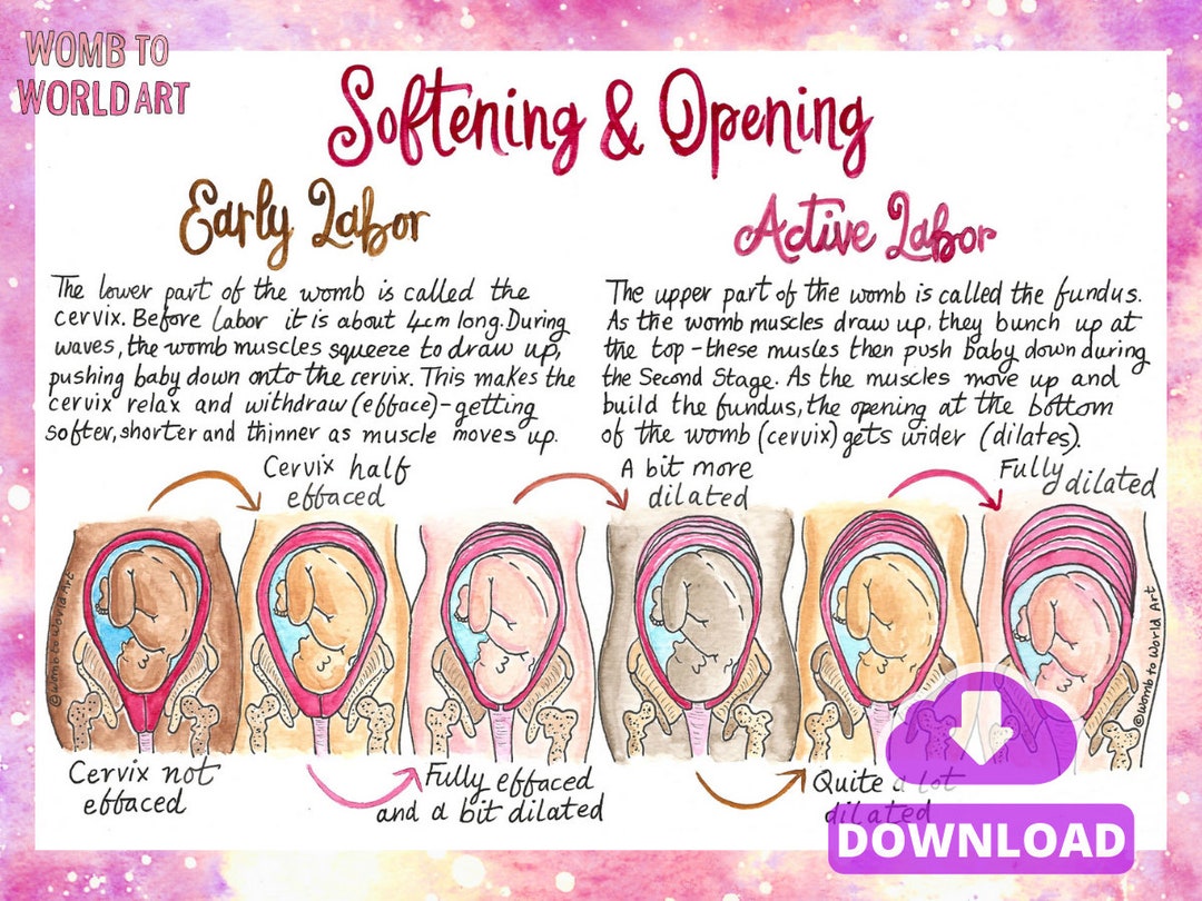 Soften and Open Hypnobirthing PDF Handouts up and Down Stages of Labor Birth Education Downloads ...