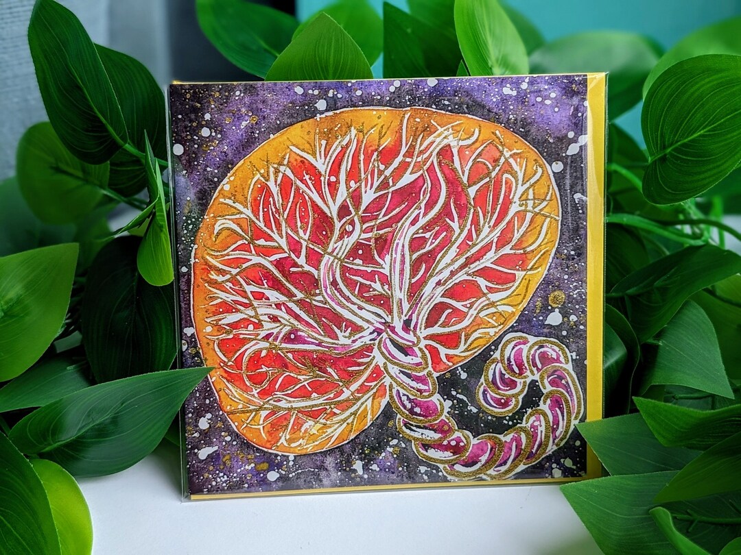 Watercolour Placenta Art Midwife Card | Homebirth | Doula | Student ...