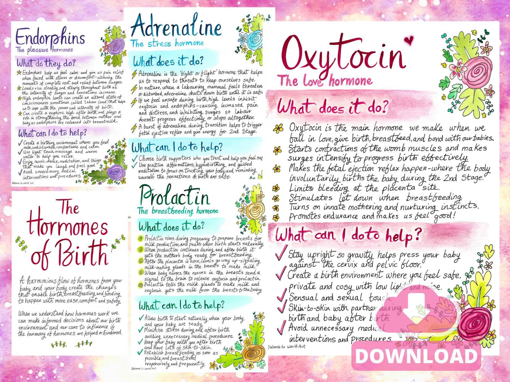 Hormones of Birth Hypnobirthing Handout: Doula Printouts for Antenatal ...