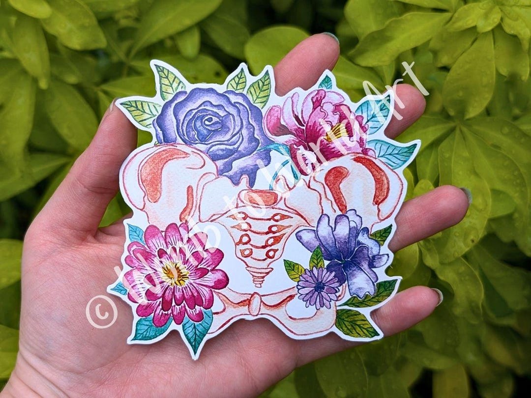 Floral Pelvis Anatomy Art Sticker: Women's Health Gift - Etsy