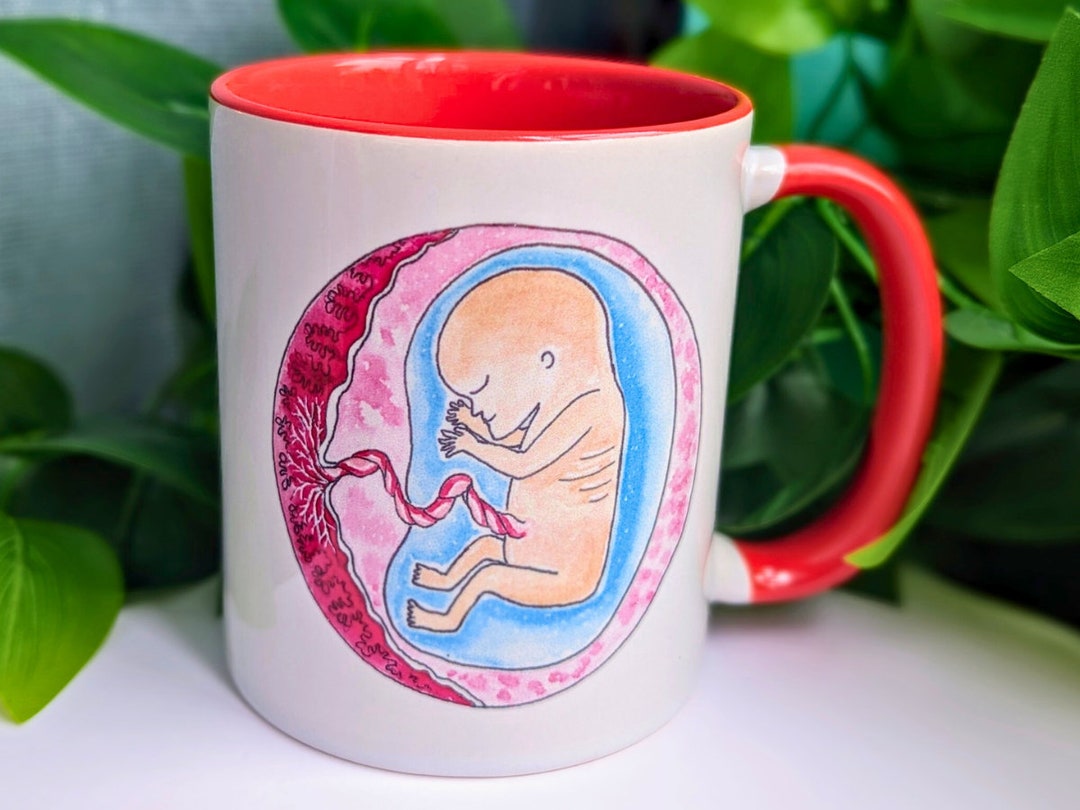 12 Week Fetus Baby in the Womb Mug | Birth Art | Doula Gift | Midwife ...