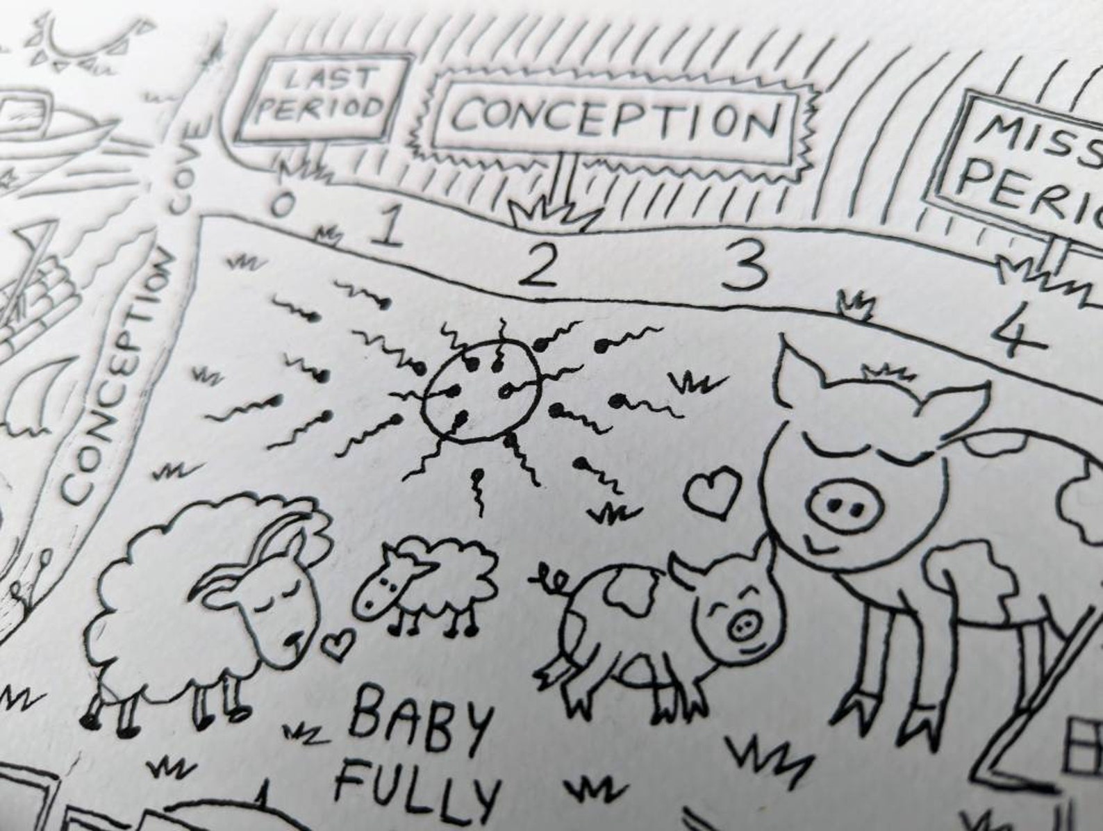 Pregnancy Stages Colouring Poster Map A3 or A4 Doula Tools ...