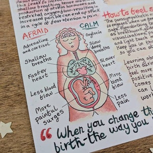 Science of Hypnobirthing Handout: Birth Education Printouts for Doulas ...