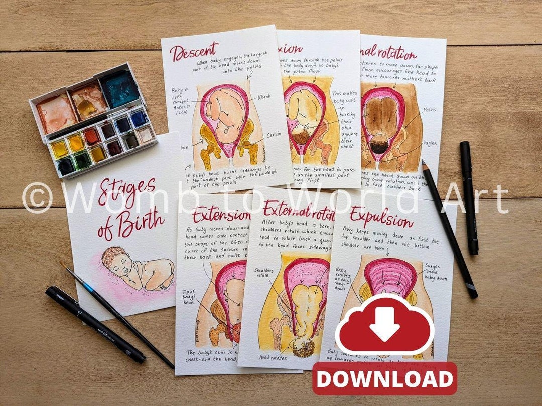 Cardinal Movements of Labour Watercolor Illustrations: Doula Birth ...
