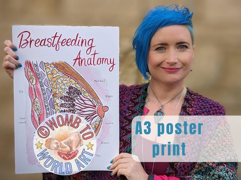 Breastfeeding Anatomy A3 250gsm Poster Print | Postpartum Doula ...