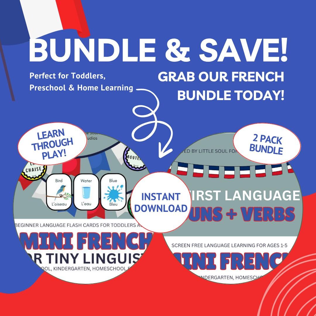 French Language Printable Bundle | Flashcards + Object Labels ...