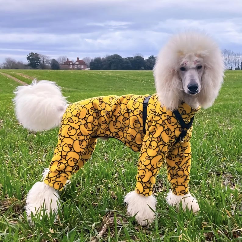 Dog Fleece Suit Fleece Rubber Duck Design Waterproof Personalized ...