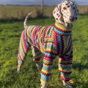 Dog Fleece Suit Fleece Bright Zig Zag Print Design Waterproof ...