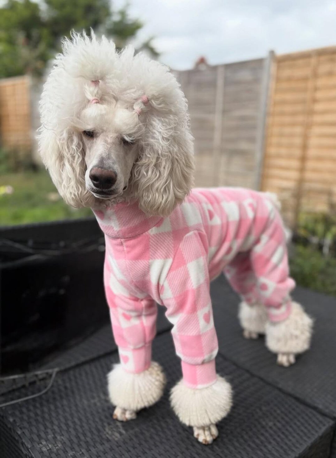 Dog Fleece Suit Fleece Pink Check Print Design Waterproof Fleece Suit ...
