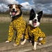 Dog Fleece Suit Fleece Rubber Duck Design Waterproof Personalized ...