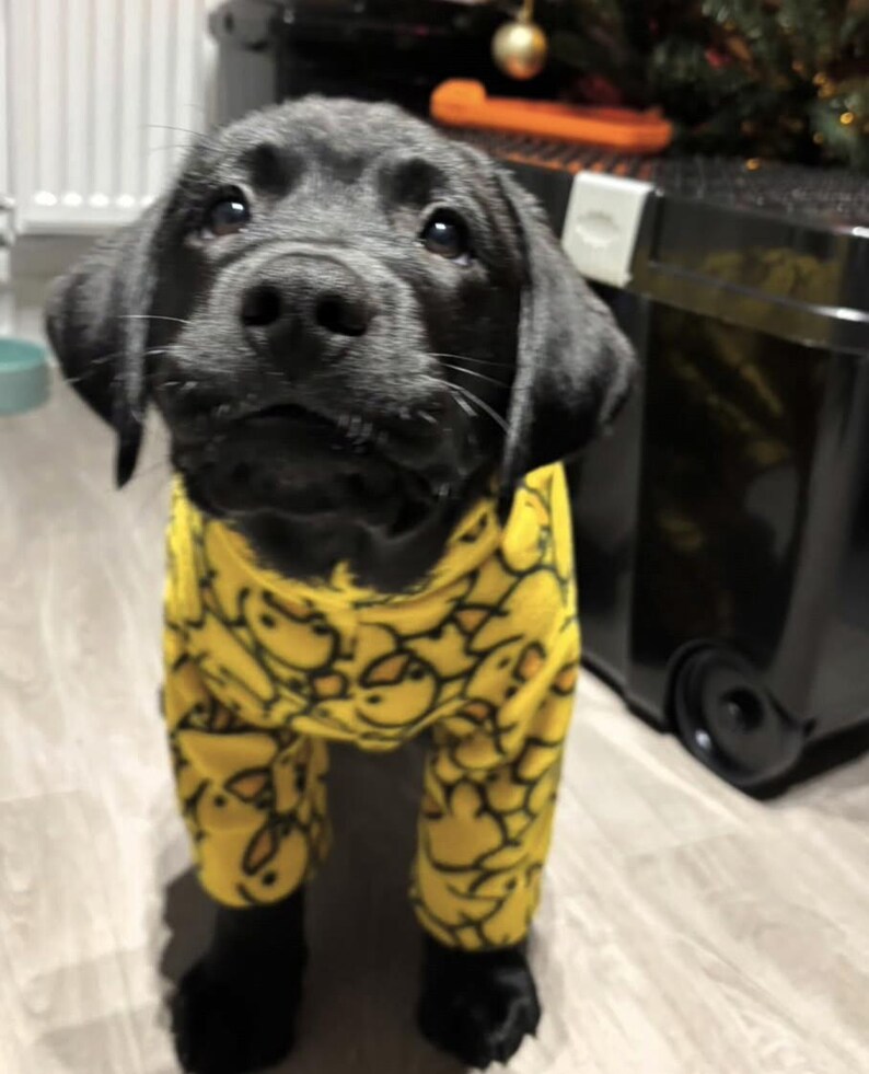 Dog Fleece Suit Fleece Rubber Duck Design Waterproof Personalized ...