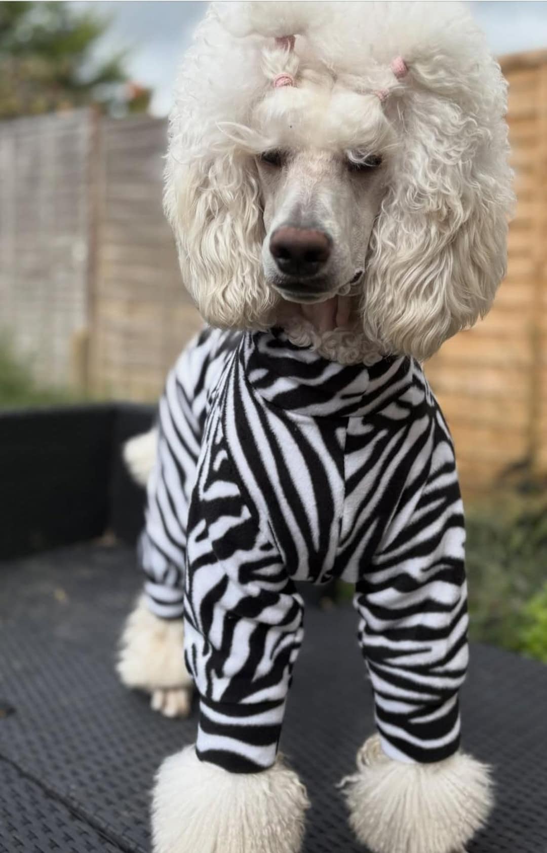 Dog Fleece Suit Fleece Zebra Print Design Waterproof Fleece Suit Coat ...