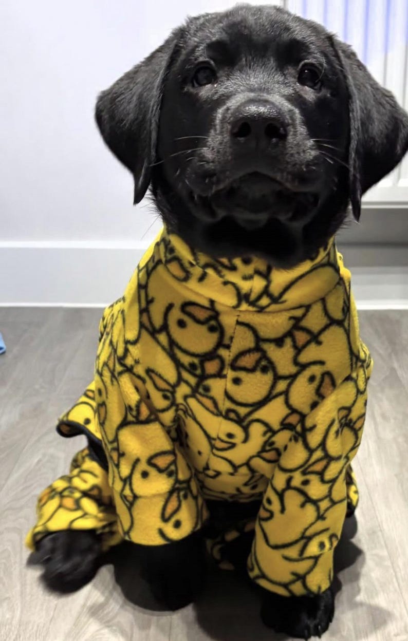 Dog Fleece Suit Fleece Rubber Duck Design Waterproof Personalized ...