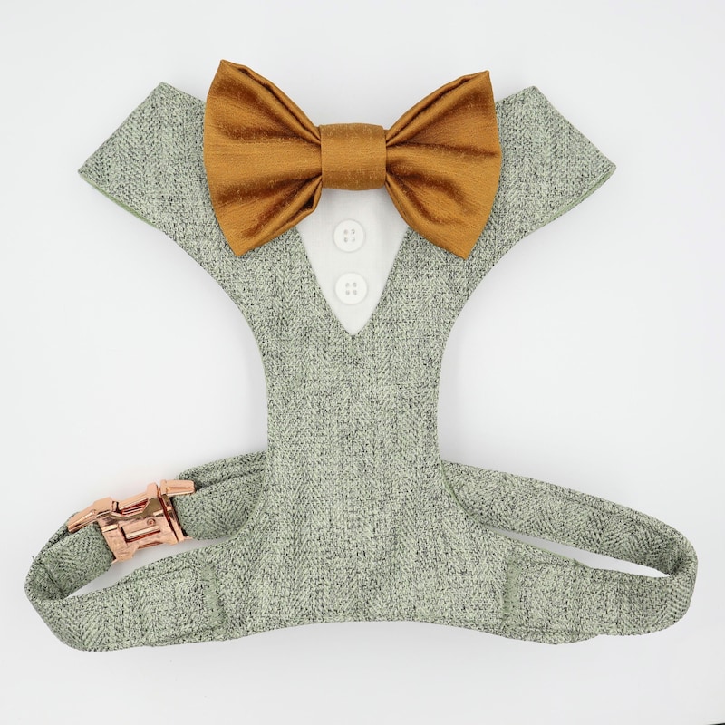 Light Green Harness Dog - Etsy