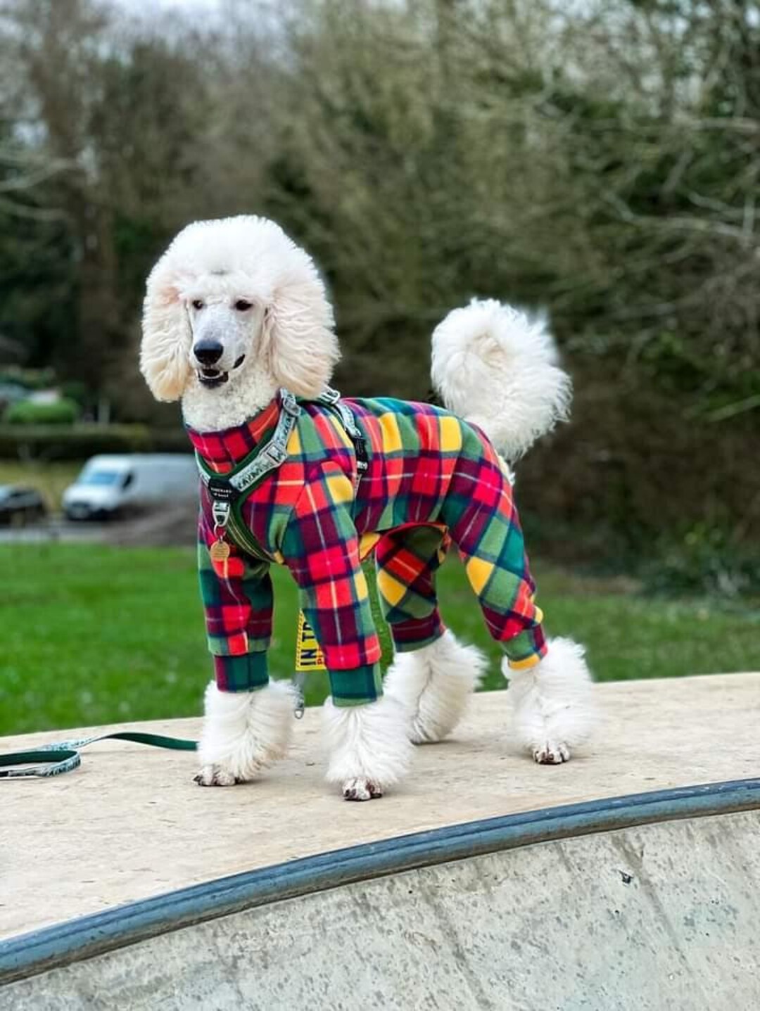 Dog Coat Suit in Red Green Gold Tartan Design Fleece Waterproof ...