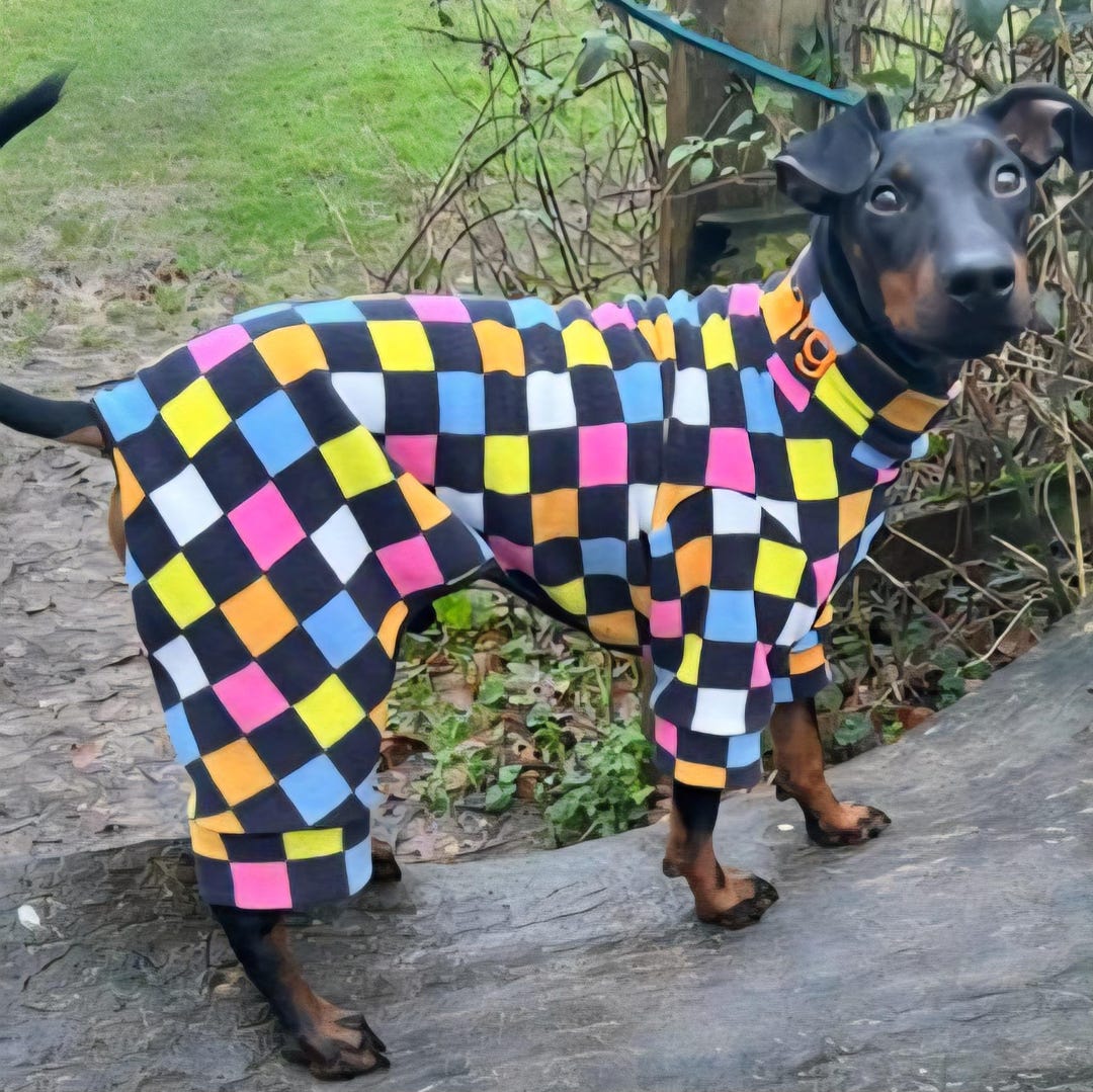 Dog Fleece Suit Fleece Black Bright Rainbow Checked Design Waterproof ...