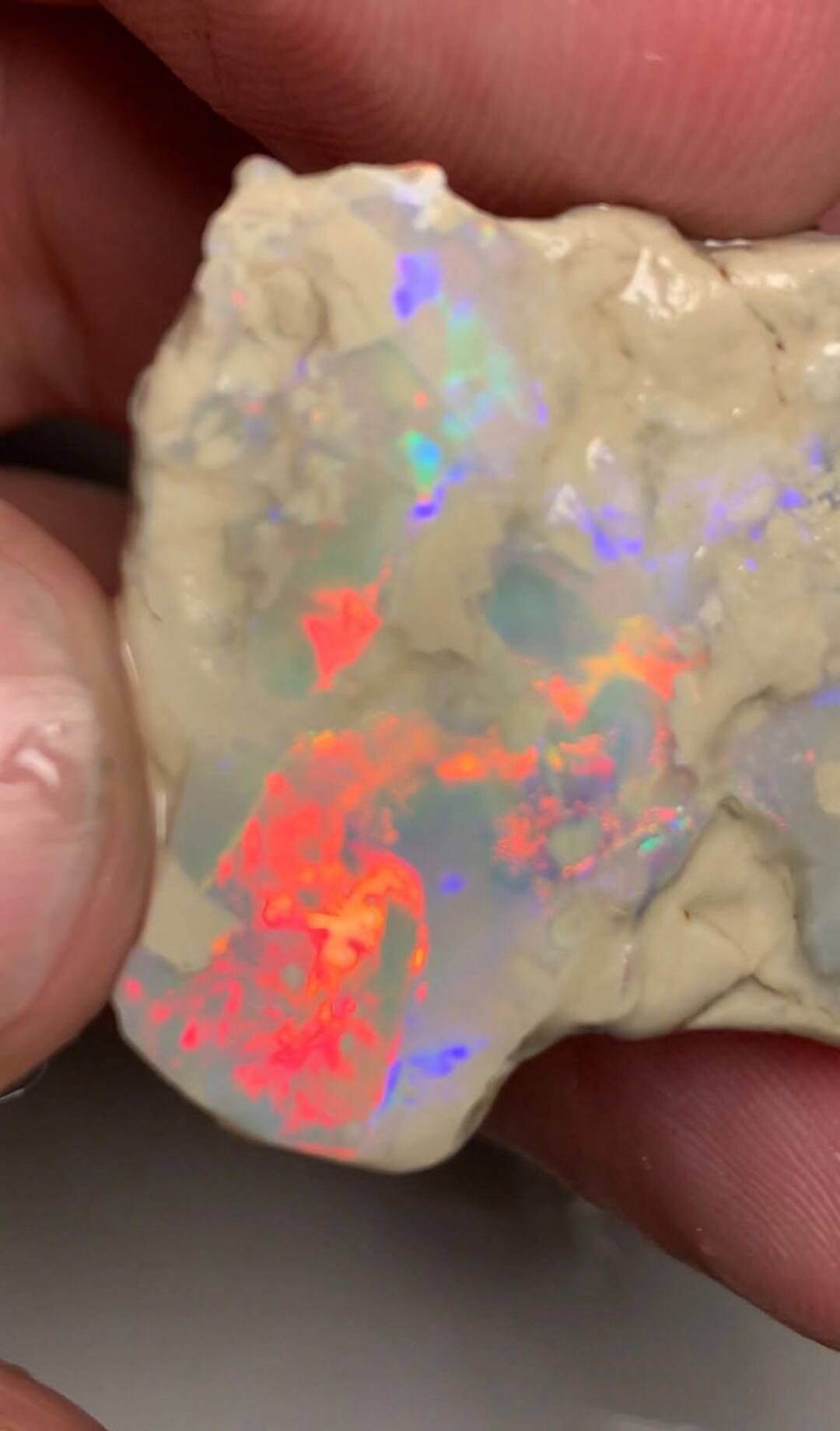 Australian Rough Crystal Opal Grawin 44ct Rubbed Seam on Host Rock ...