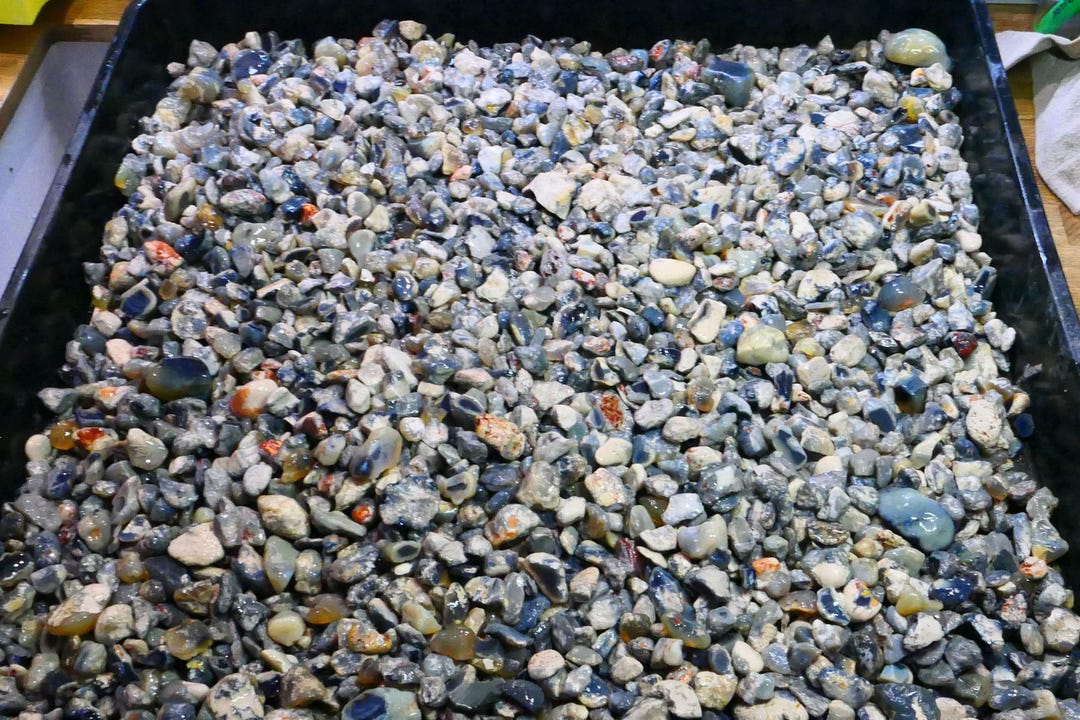 Lightning Ridge Knobby Fossil & Seam Potch Left Over From Weeks Wash ...