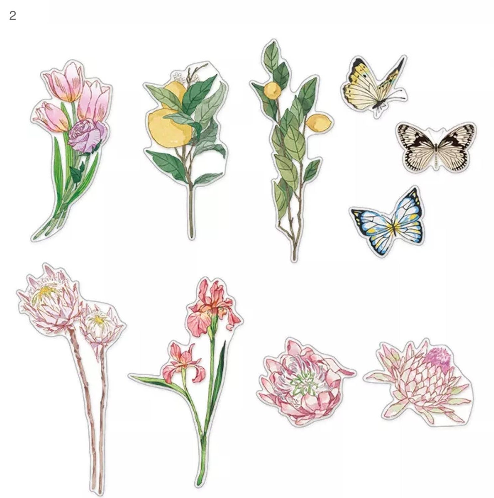 10 Piece Large Realistic Floral Stickers Set Cute Big Pressed | Etsy
