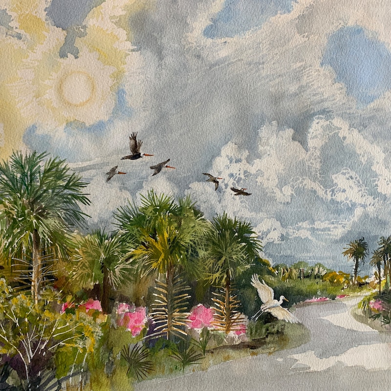 Florida Bird Art - Etsy