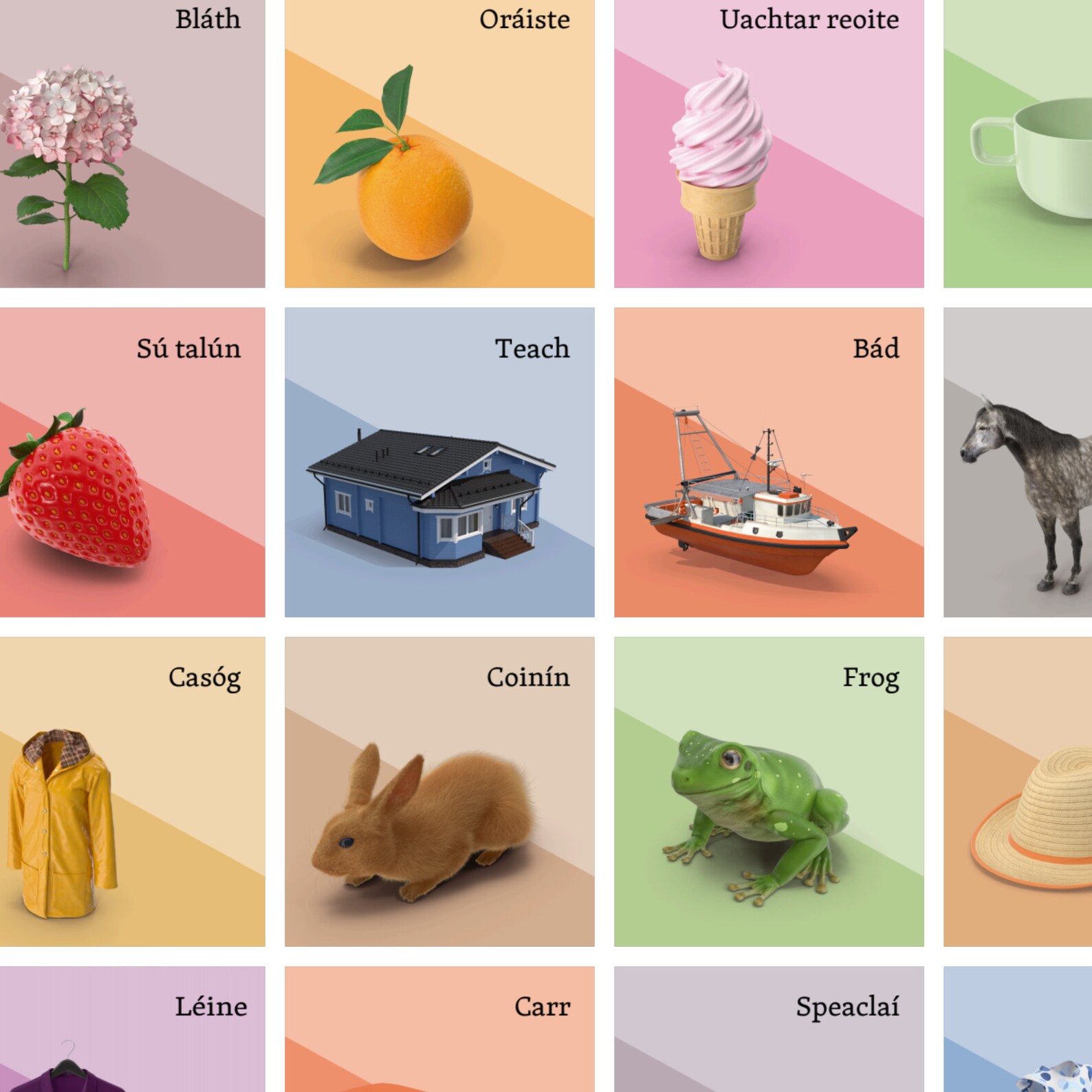 IRISH GAELIC Gaeilge Poster for Visual Language - Etsy España