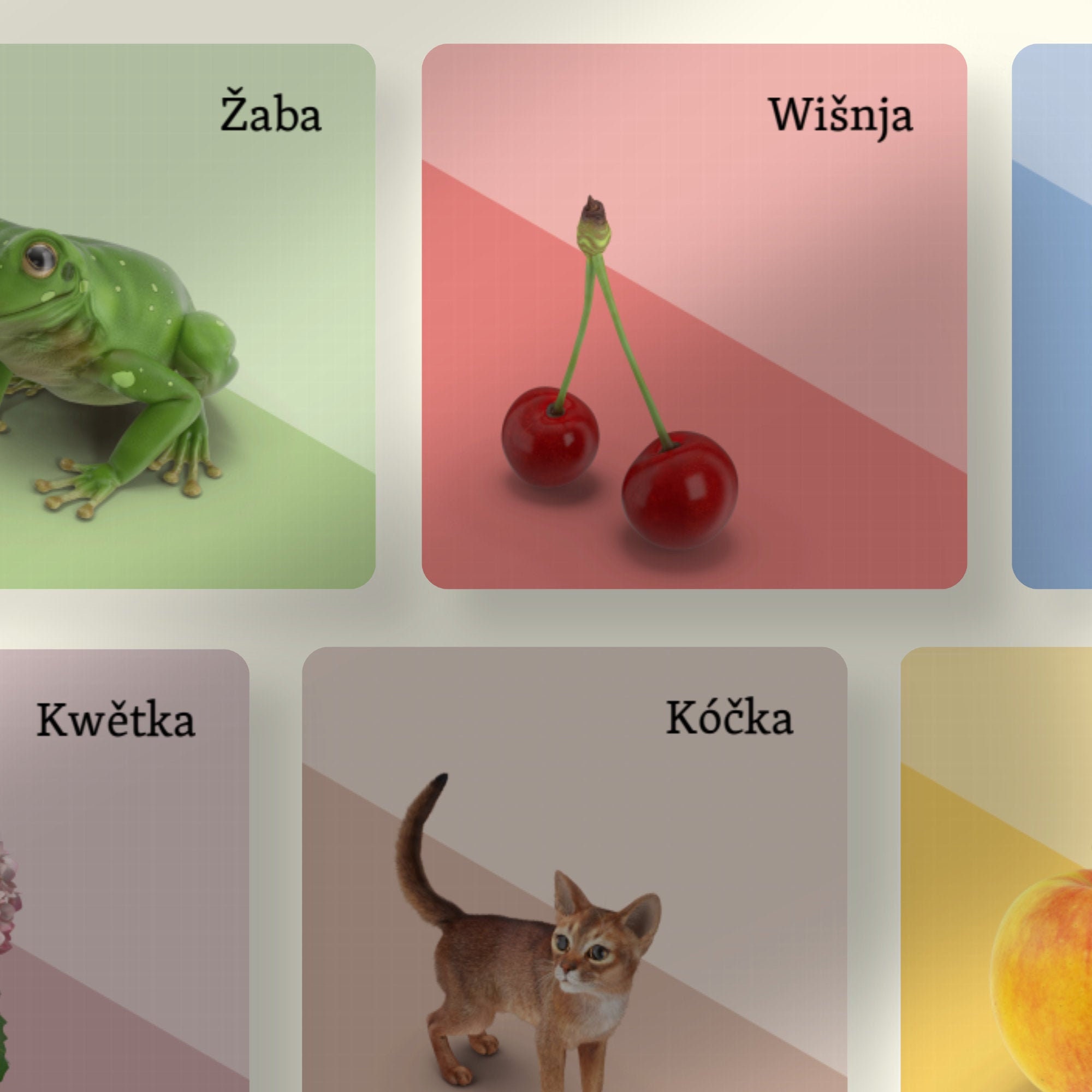 UPPER SORBIAN hornjoserbšćina First WordsColourful Flash Cards for ...
