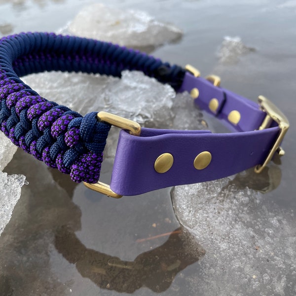 Fancy Dog Collar - Etsy