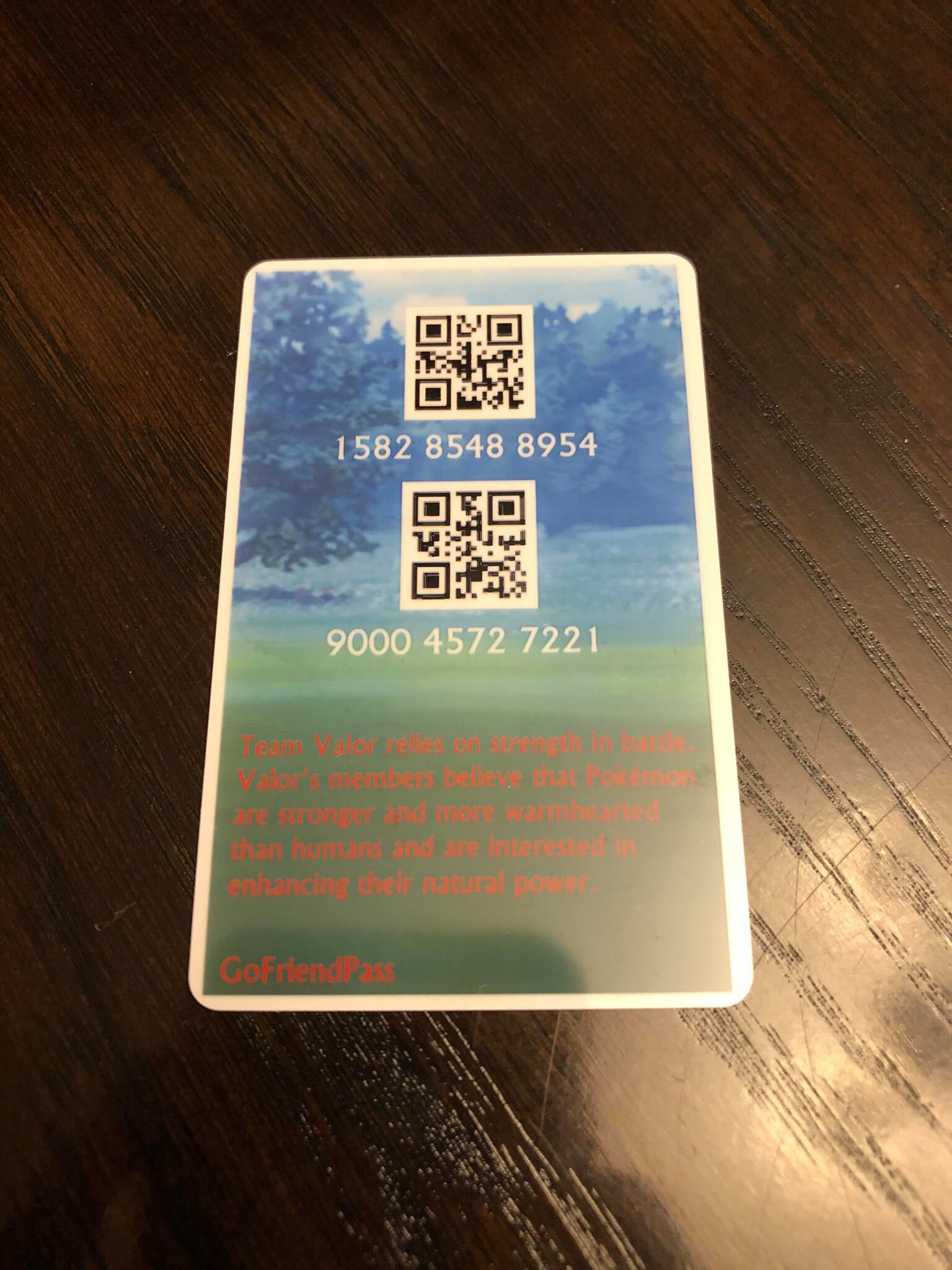 Pokemon Go Friend Pass - Etsy