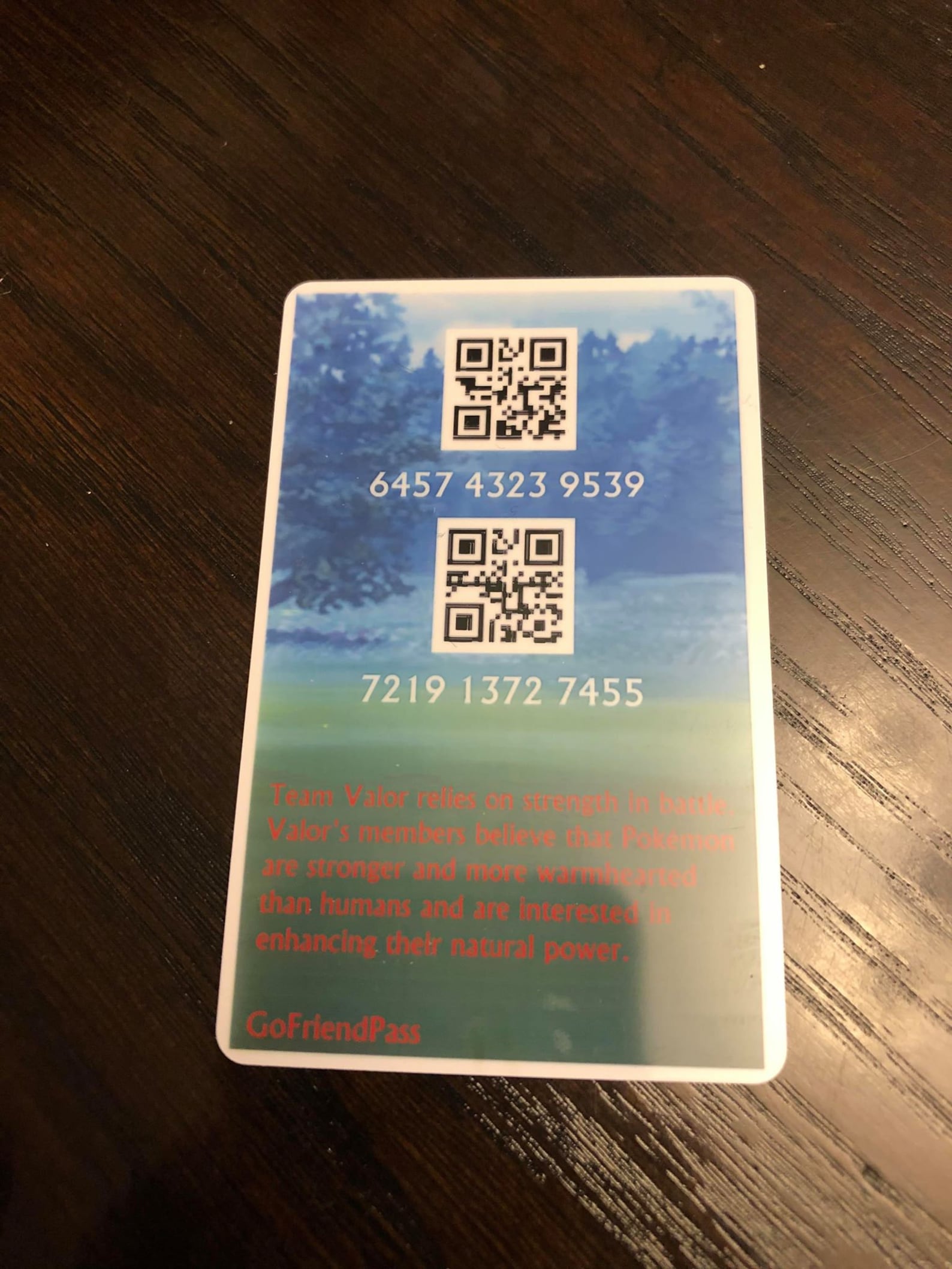 Pokemon Go Friend Pass - Etsy