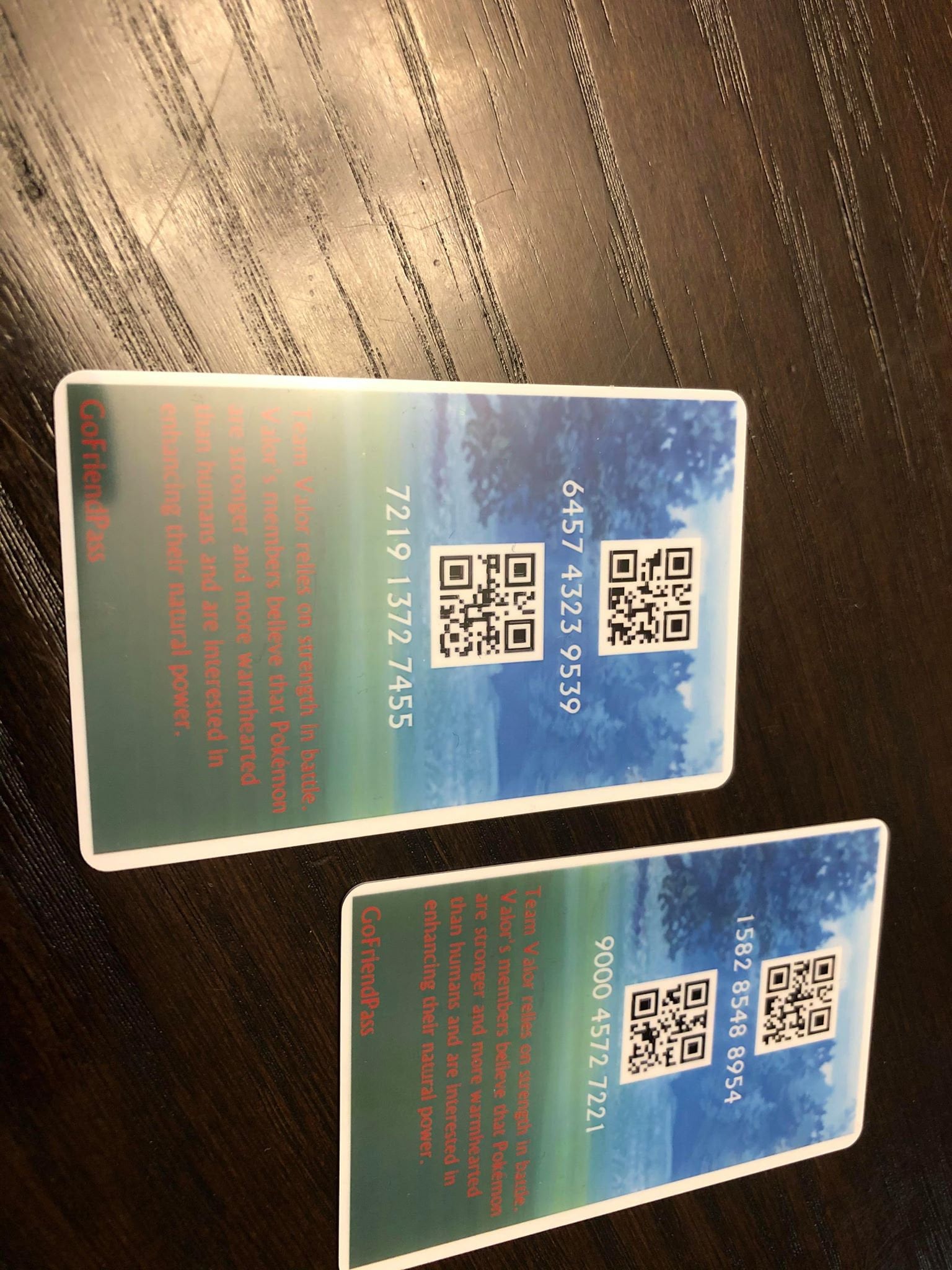 Pokemon Go Friend Pass - Etsy