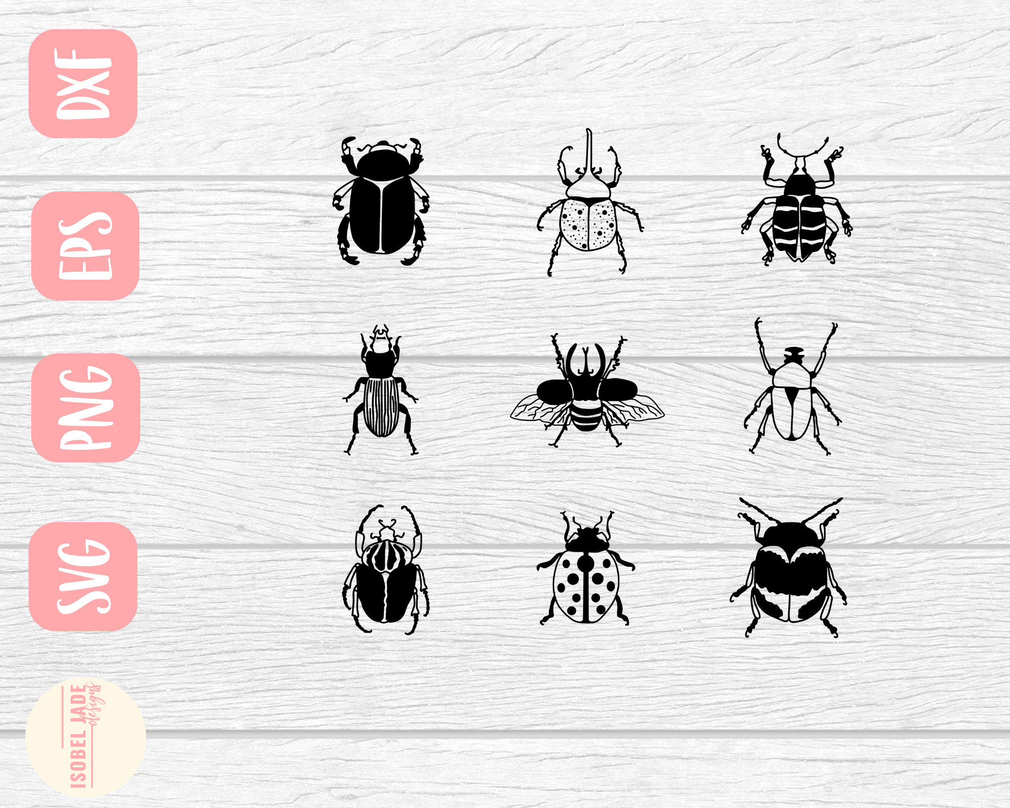 Beetle Svg Bugs Svg Bundle Svg Shirt Line Drawing Svg - Etsy