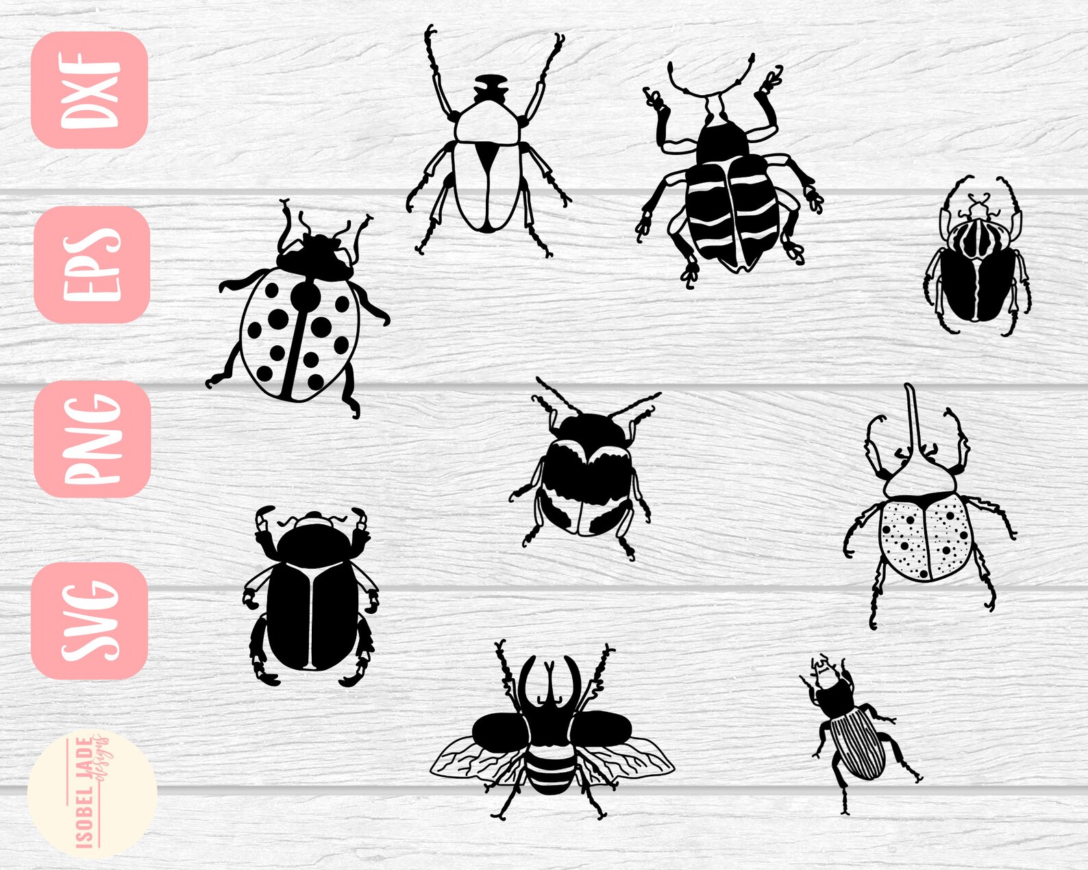 Beetle Svg Bugs Svg Bundle Svg Shirt Line Drawing Svg - Etsy