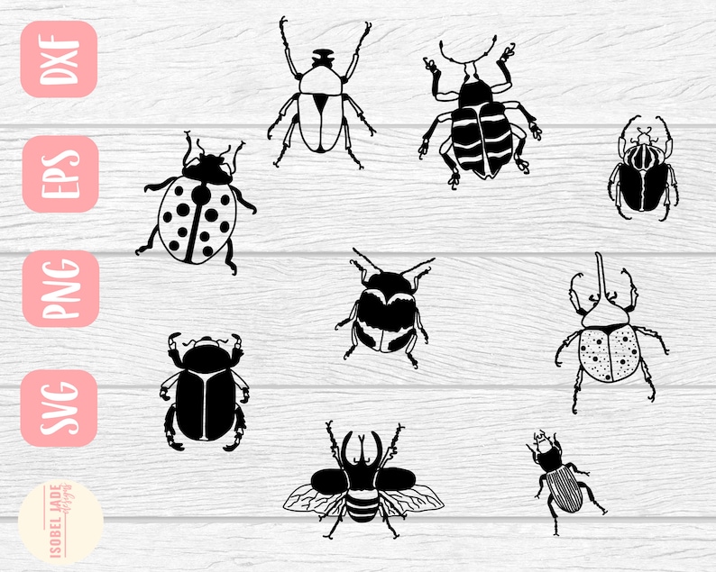 Beetle Svg Bugs Svg Bundle Svg Shirt Line Drawing Svg - Etsy