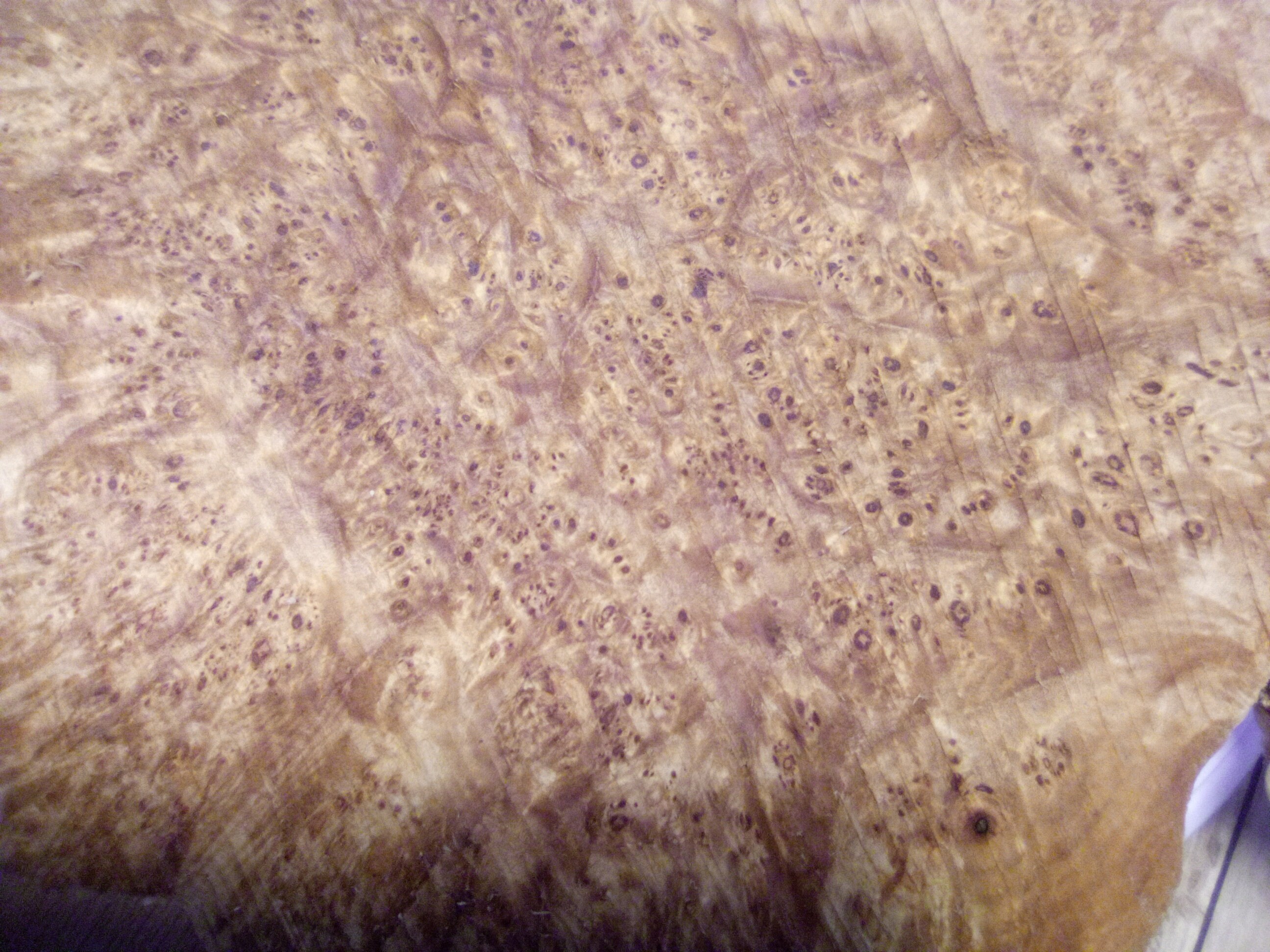 1 Maple Pin Burl -quilt Cap 17"x12"x3.5""bark Removed!! - Etsy