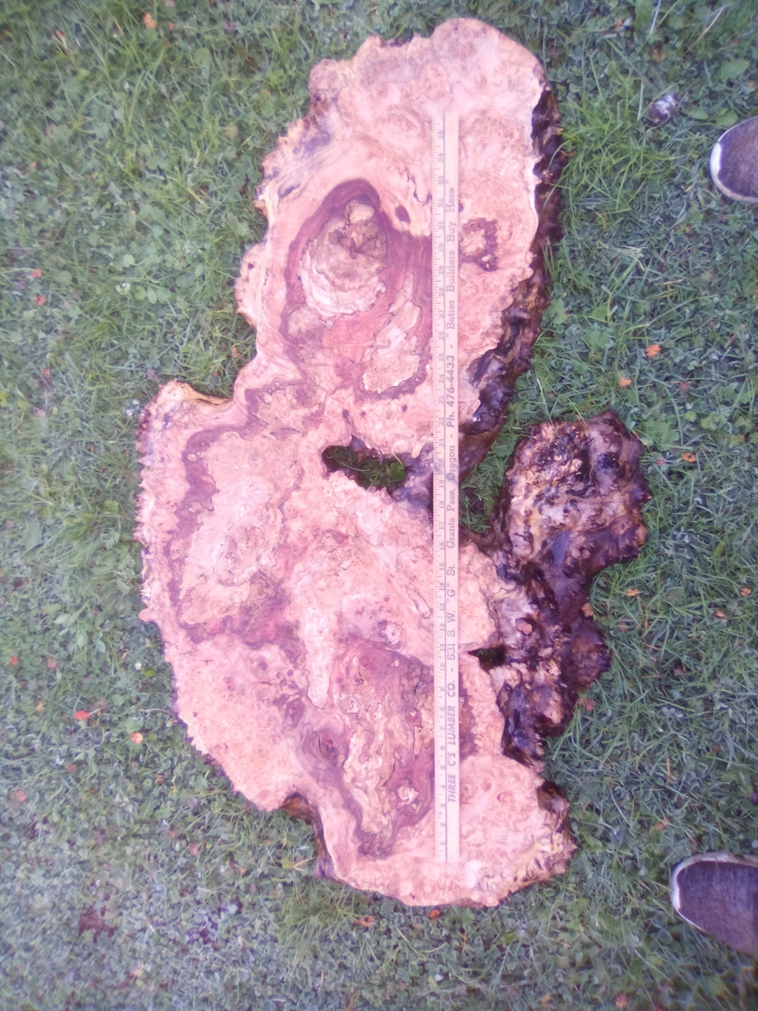 1 Spaulted Maple Burl Slice 44"x26"x1.25"...amazing Spault!!one of a ...