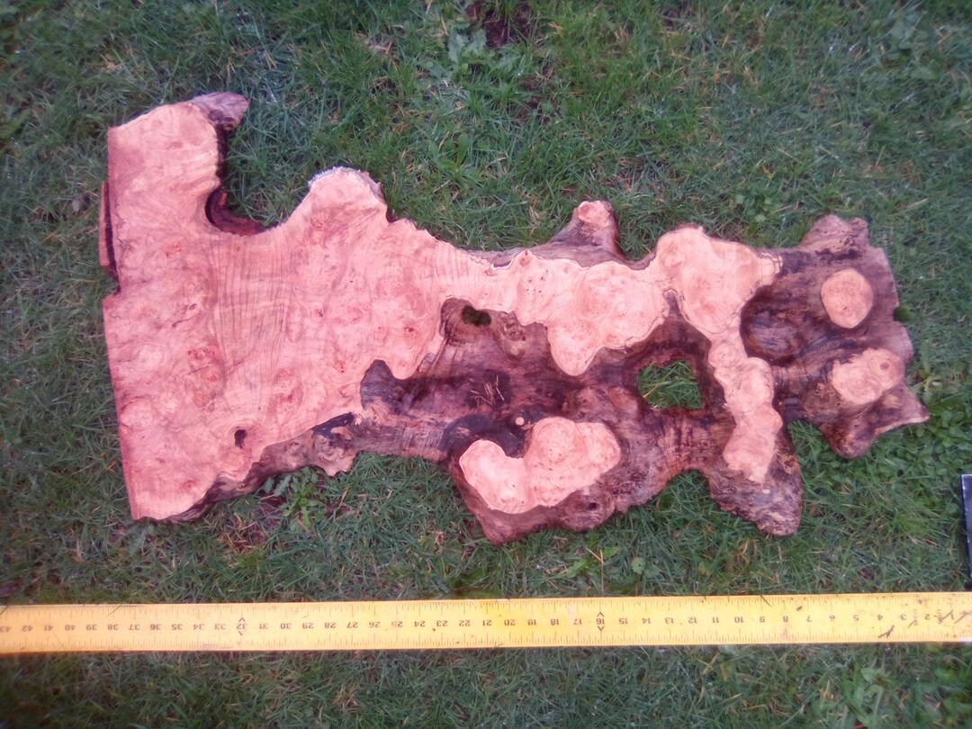 1 Maple Quilt-burl Resin-epoxy Table Slice 36"x21"-11"x1.5"some ...