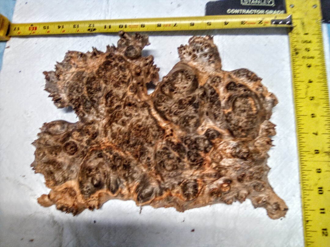 Maple Burl ...quilt..spault..slice 12"x10"x 1/2" - Etsy