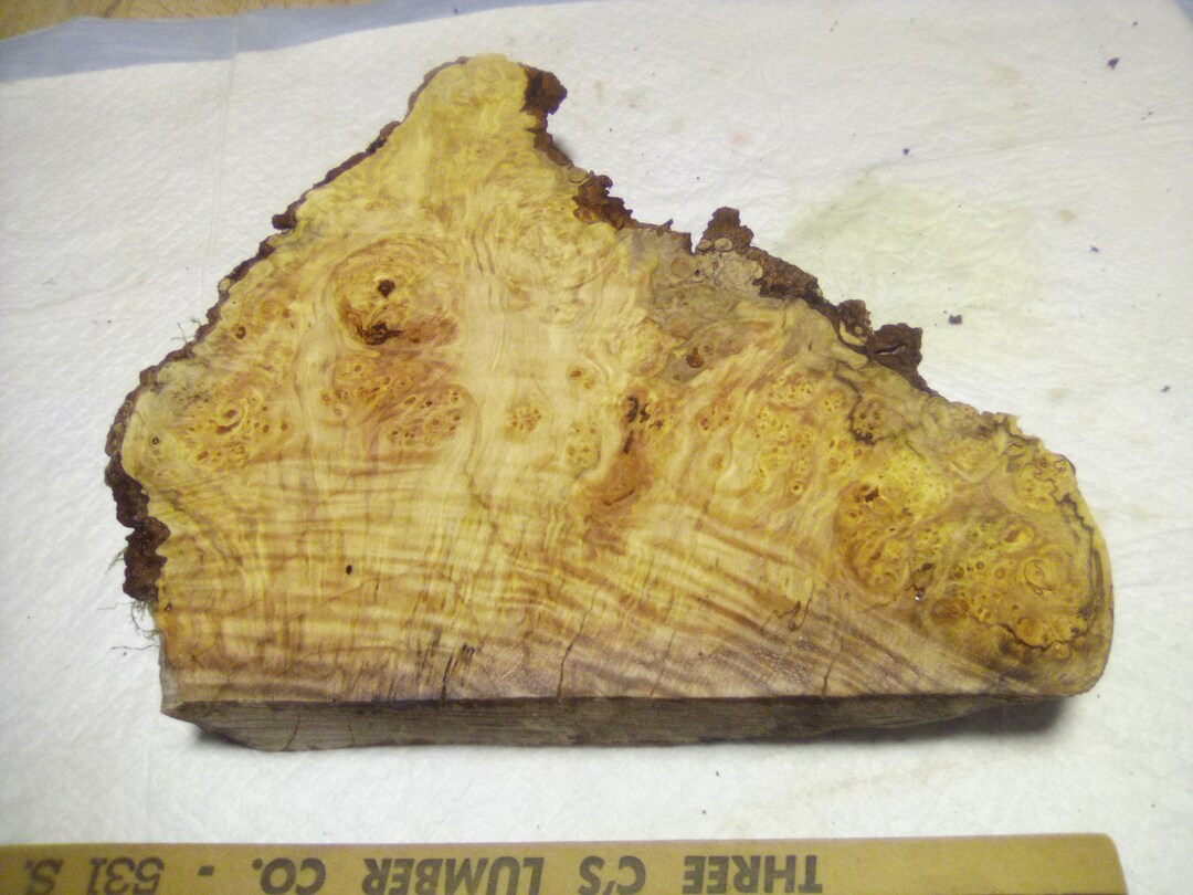 1 Maple Burl Slice 10"x10"x1.5"... Slightly Spaulted!!still Hard!!! - Etsy