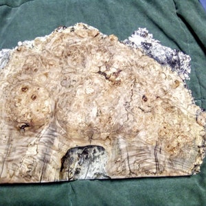 Maple Burl Slab 22"x16"x1 1/4" - Etsy