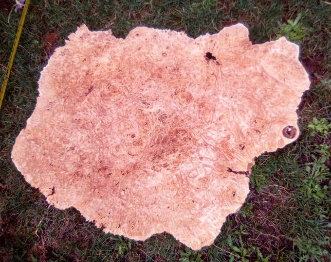 Maple PIN Burl Slab 36"x37""x2" Figure and Quilted... River/resin Table ...