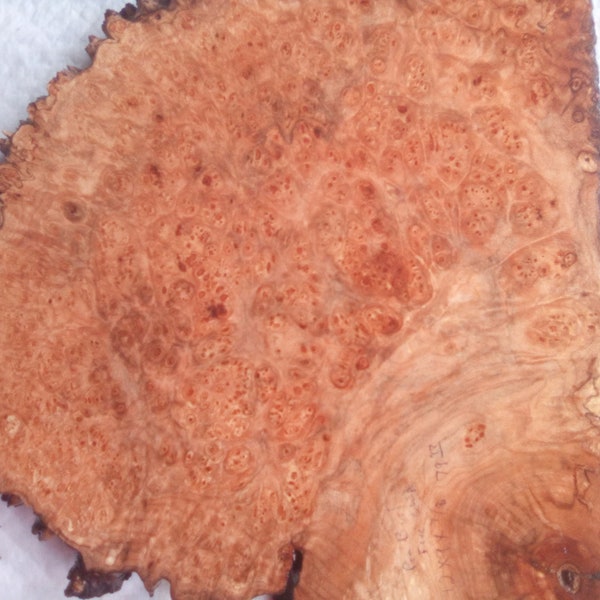 Burl Blank - Etsy