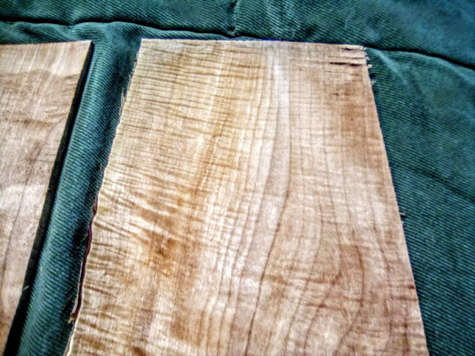 Fiddleback Maple Slices..16x8x1/4 - Etsy