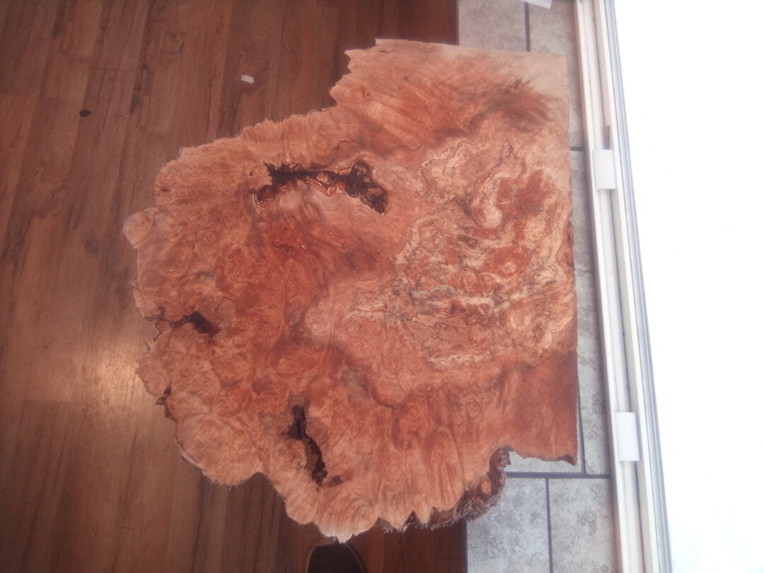 1 Maple Burl Quilted Slice 20"x16"x1.5"... Nicely Spaulted!!still Hard ...