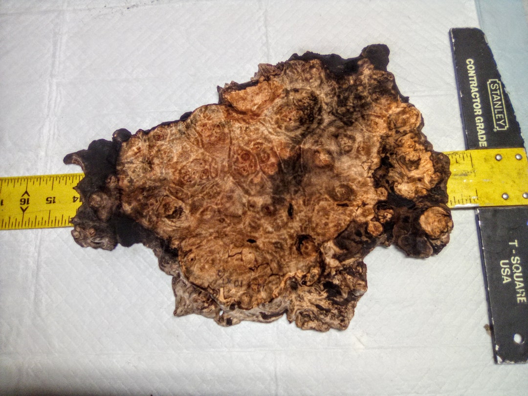 Maple Burl ...quilt..spault..slice 12x10x 1/2 - Etsy