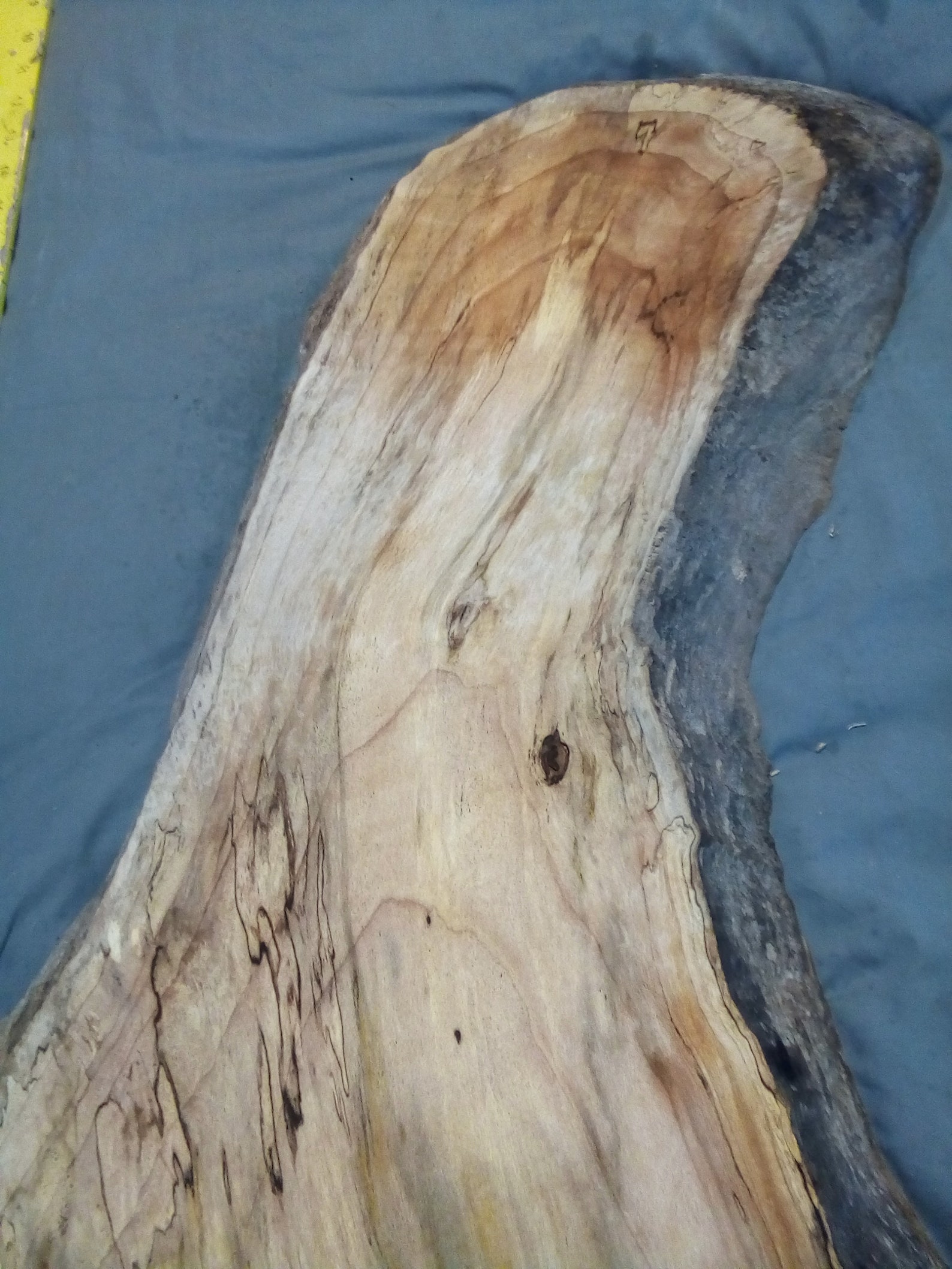 Spaulted Maple Swirl Slab32x16x2 | Etsy