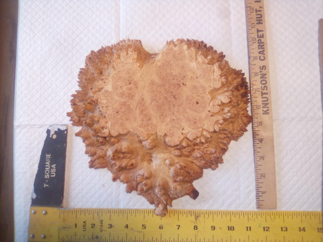 1 Burly, Heart Shaped Maple Slice 11"x10"x1" Natural Edge !! - Etsy